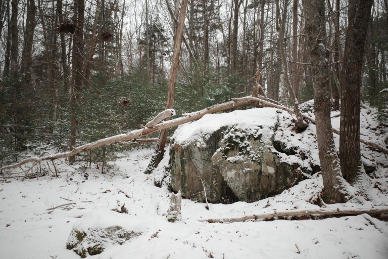 Photo Diary: Happy New Year – January 1st Walk – alex silver